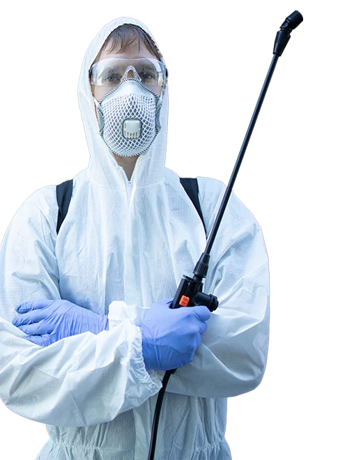 Is Hiring a Professional Pest Control Service Really Worth It? - Jones ...